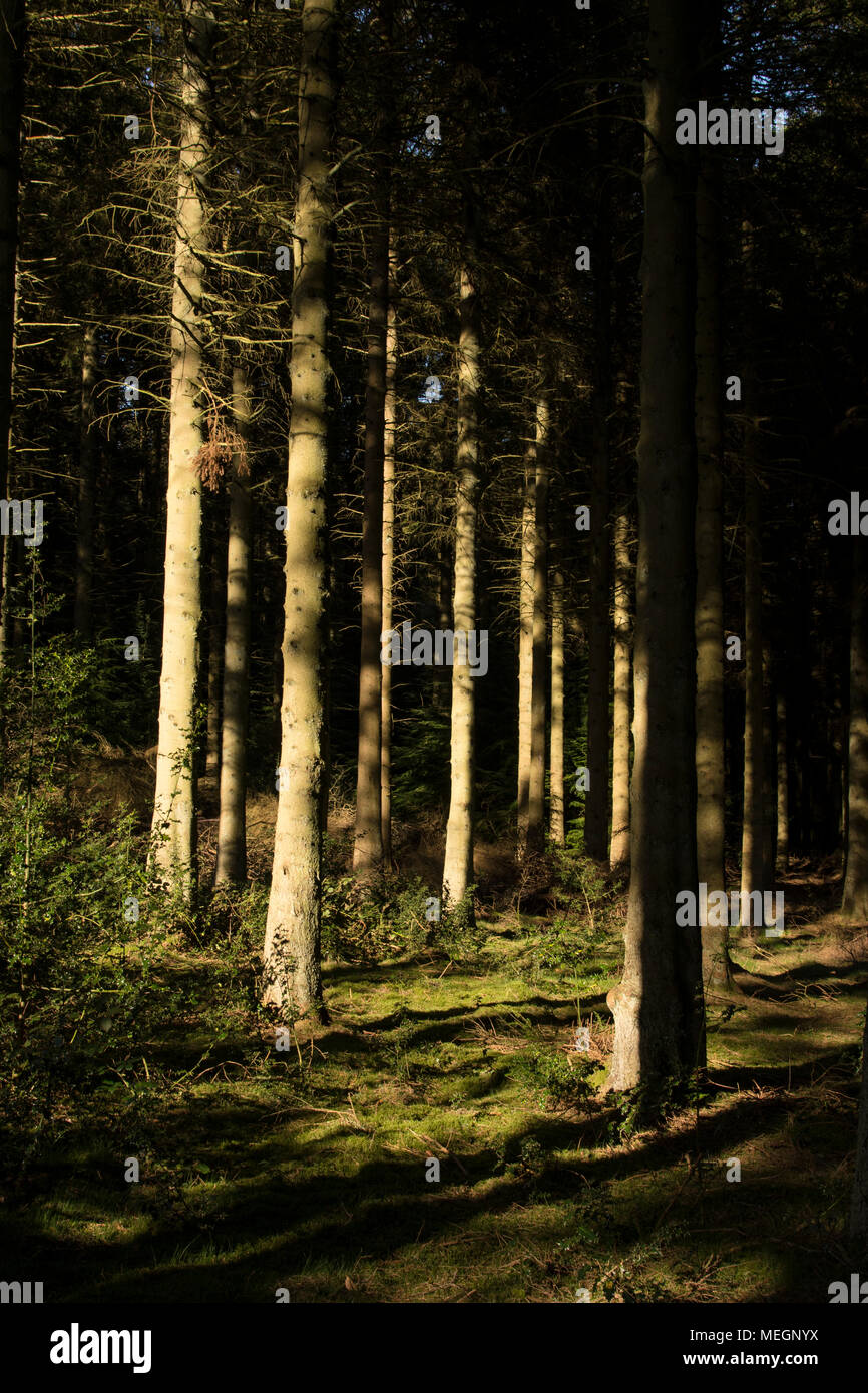 Illuminating patterns hi-res stock photography and images - Alamy