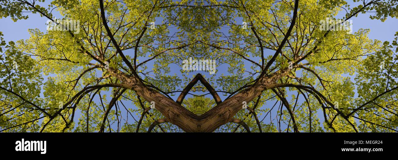 Spring Symmetrical Impressions from Viktoriapark in Berlin Kreuzberg ...