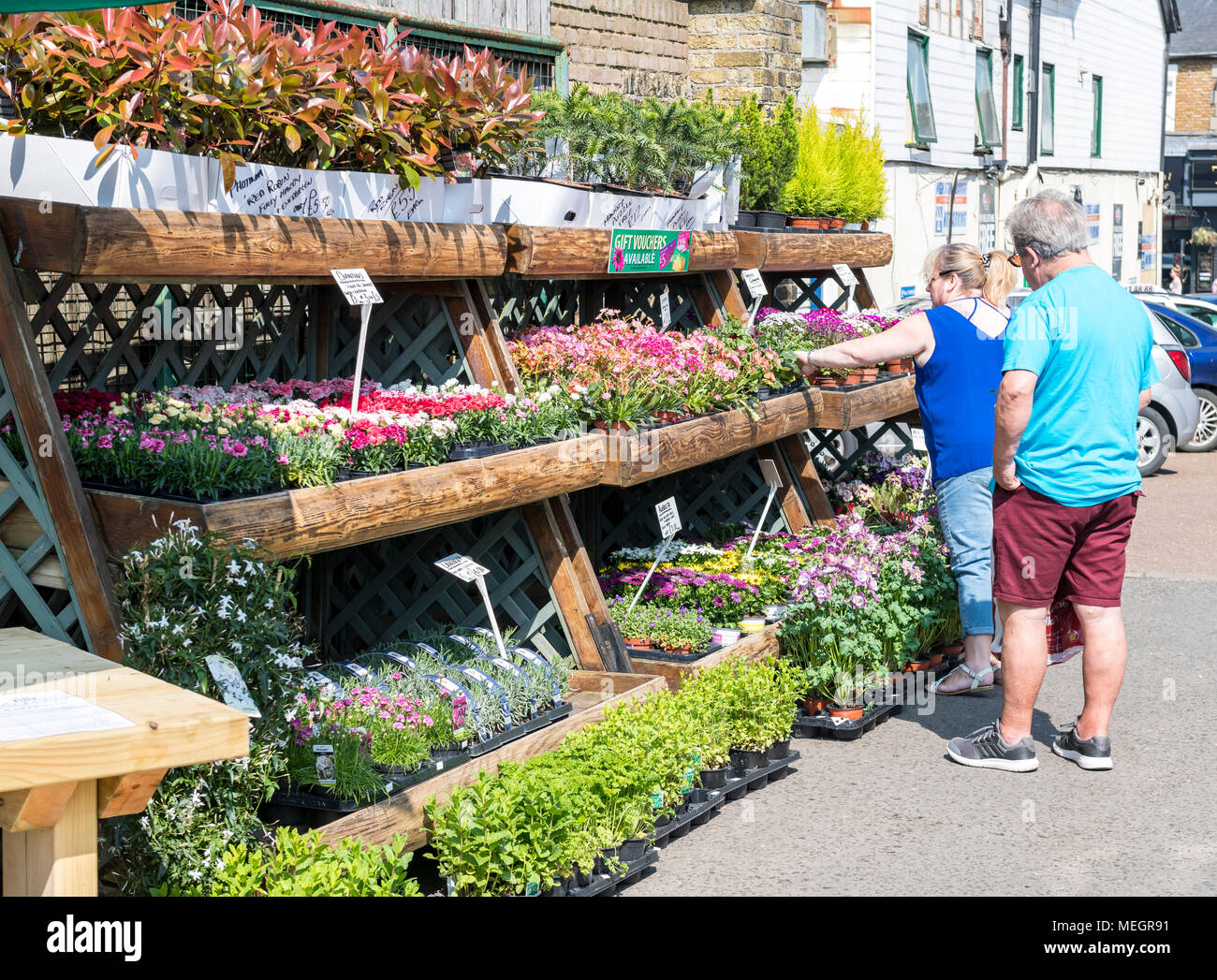 Display plants garden centre hi-res stock photography and images - Alamy