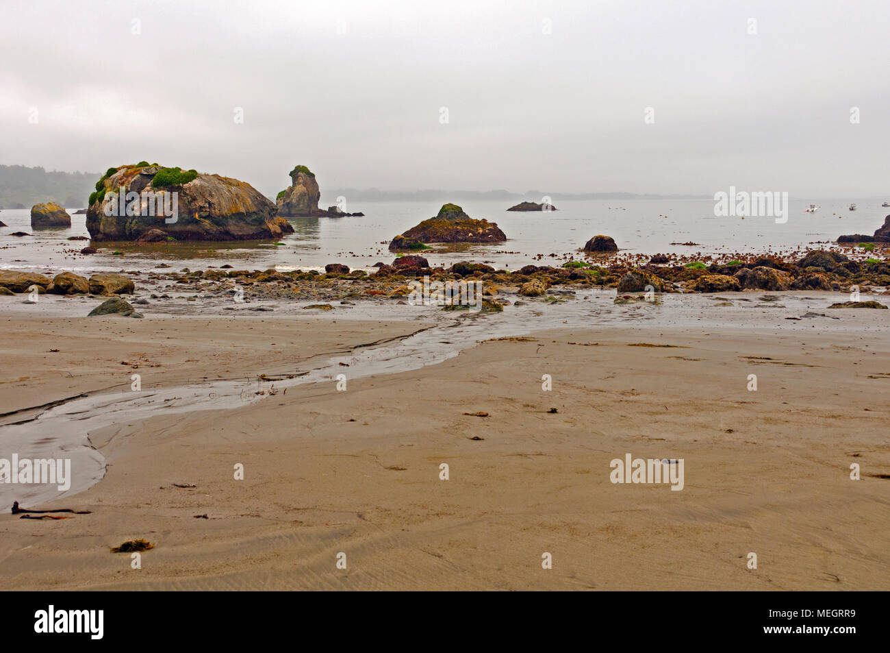 Trinidad Beach in California Stock Photo - Alamy