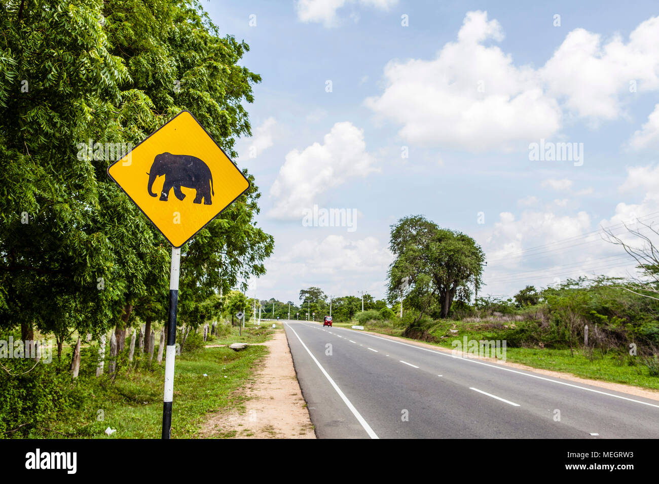 Elephant Road Sign High Resolution Stock Photography and Images - Alamy