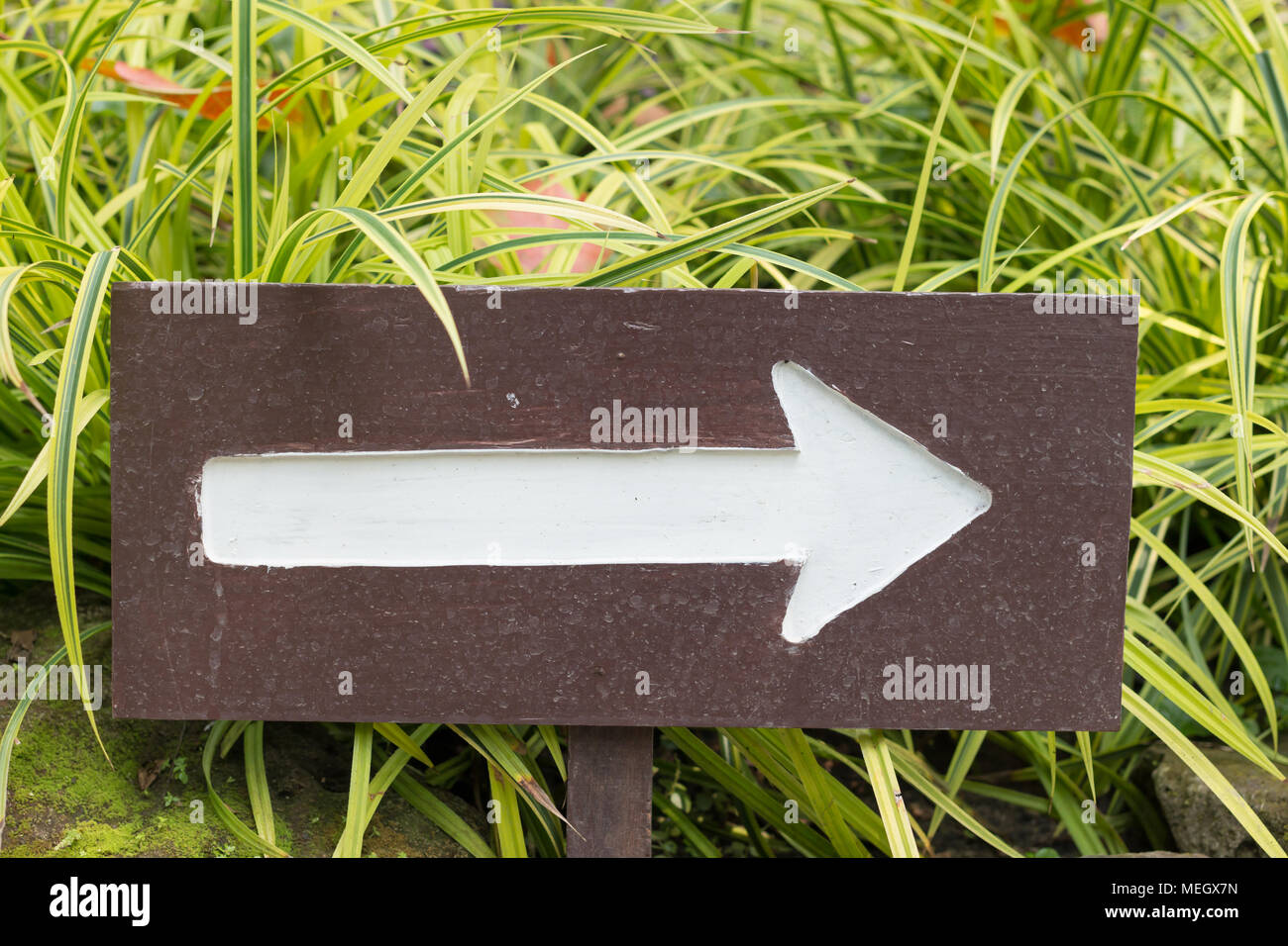Wooden arrow sign in garden Stock Photo - Alamy