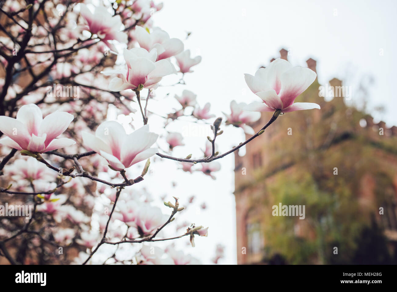 Springgarden hi-res stock photography and images - Alamy