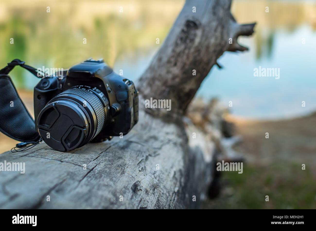 A DSLR Camera kept on a log of wood outdoors Stock Photo - Alamy
