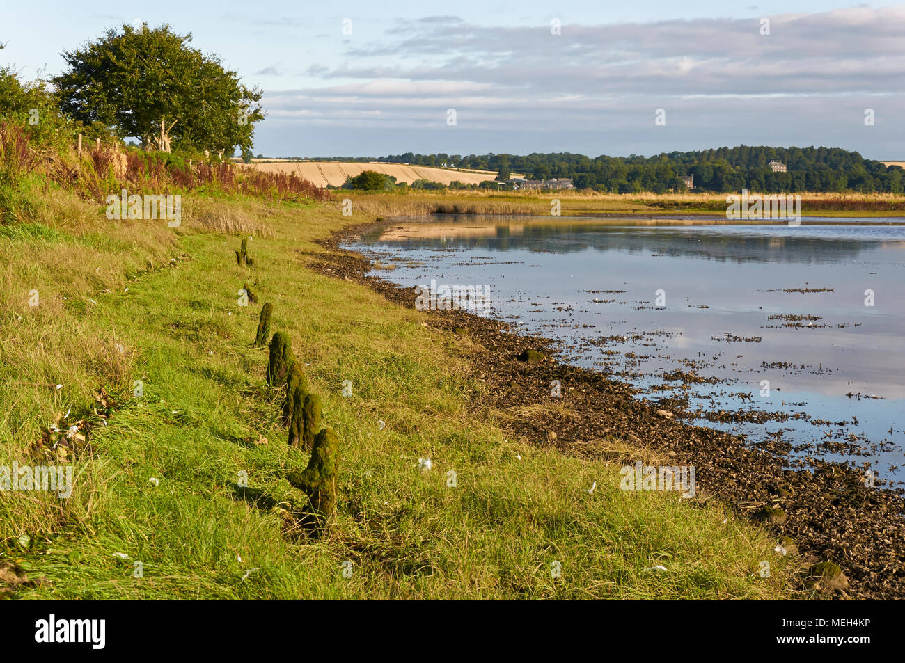 Montrose scotland town hi-res stock photography and images - Alamy
