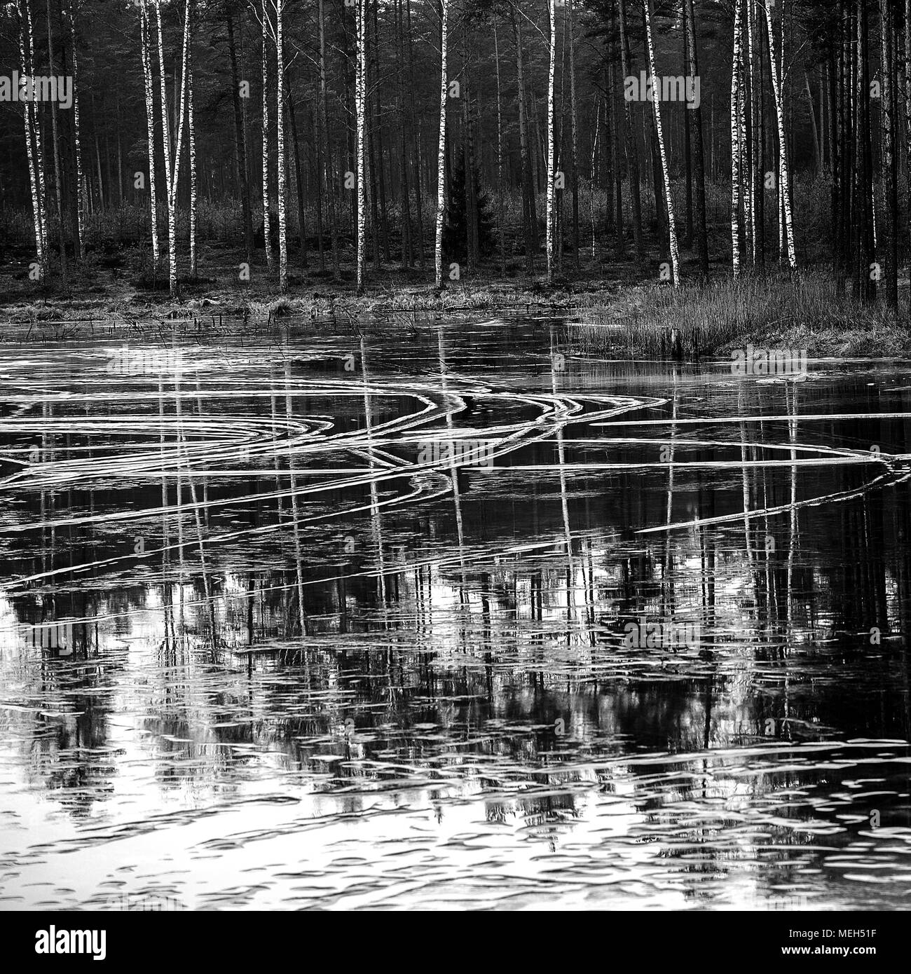 Winter landscape with trees reflections on lake water Stock Photo - Alamy