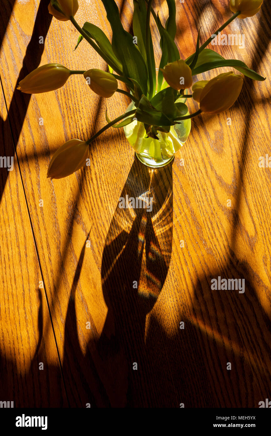 Interesting shadows hi-res stock photography and images - Alamy