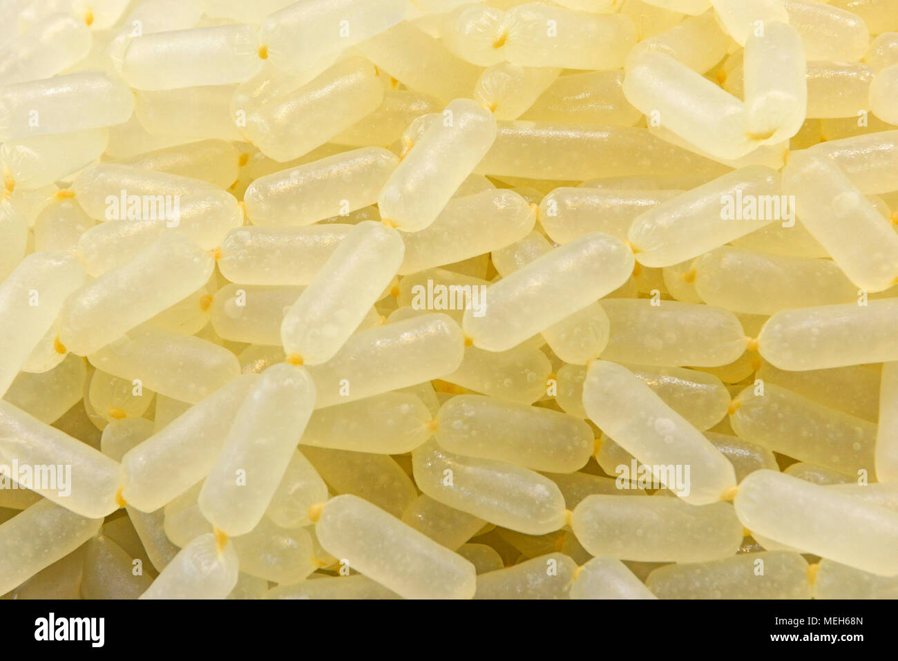 Strings of collagen casing sample sausages at the China bakery products ...