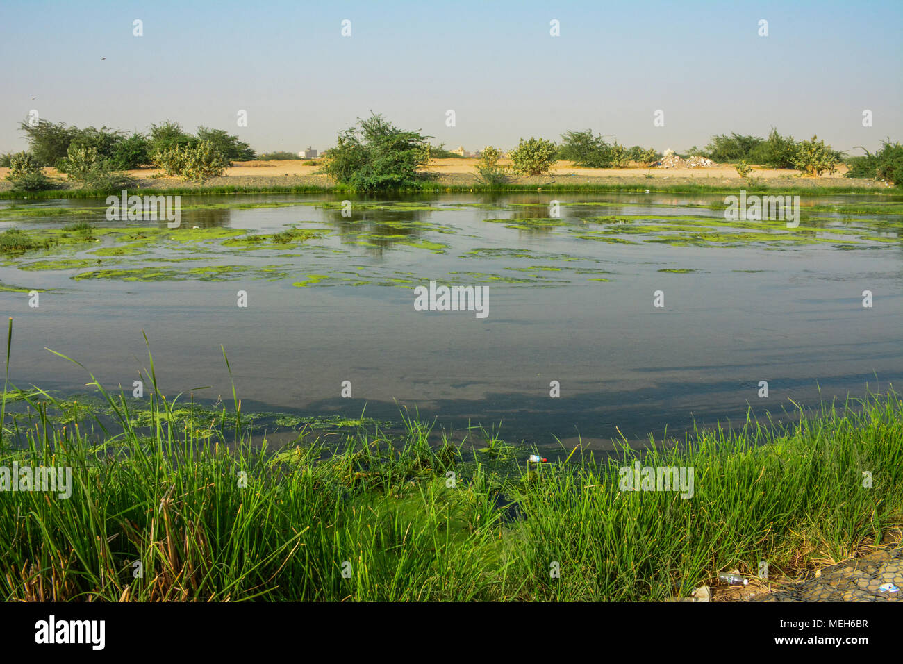 Beautiful river at Jeddah, Saudi arabia Stock Photo - Alamy