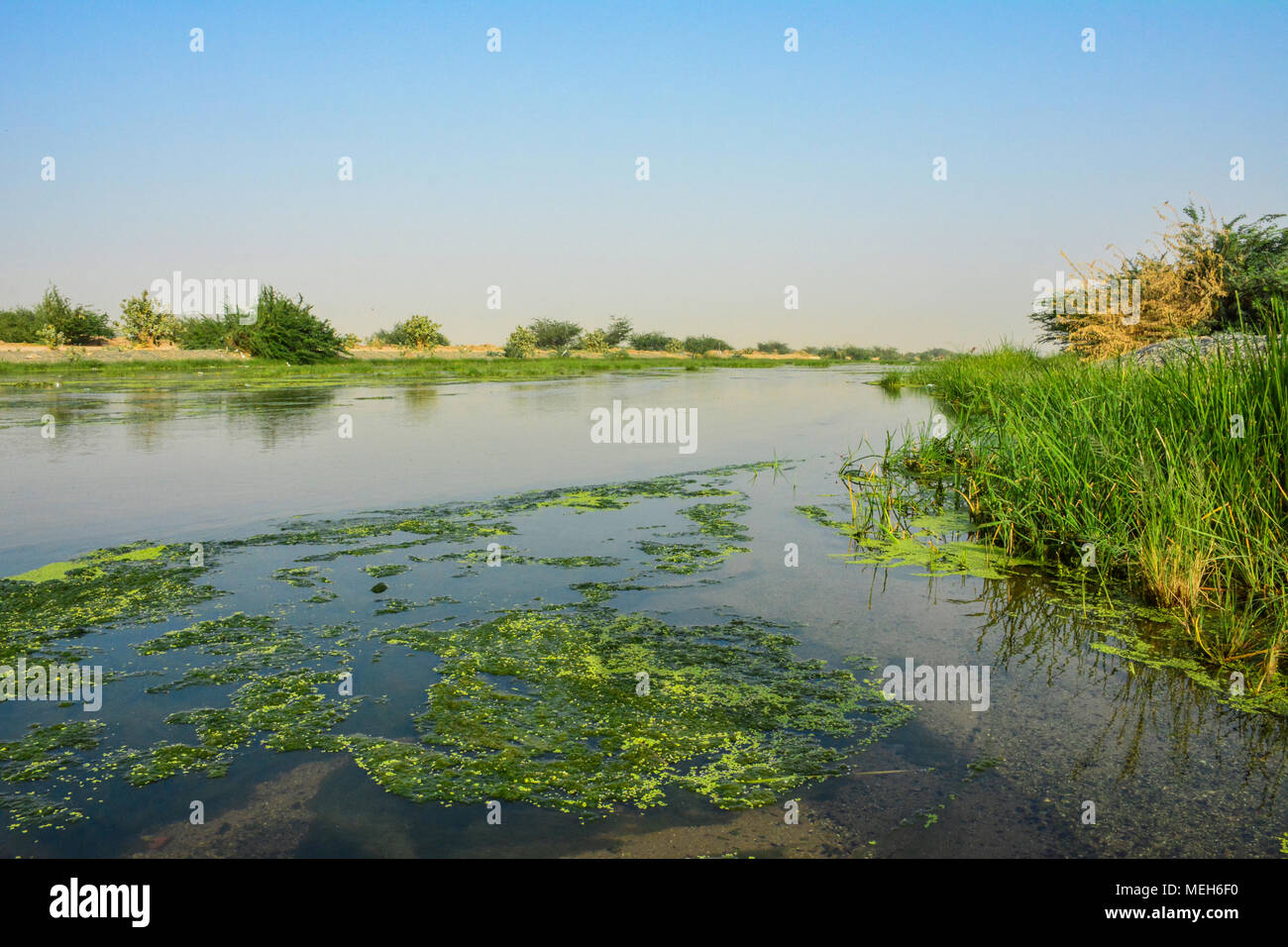 Rivers In Saudi Arabia