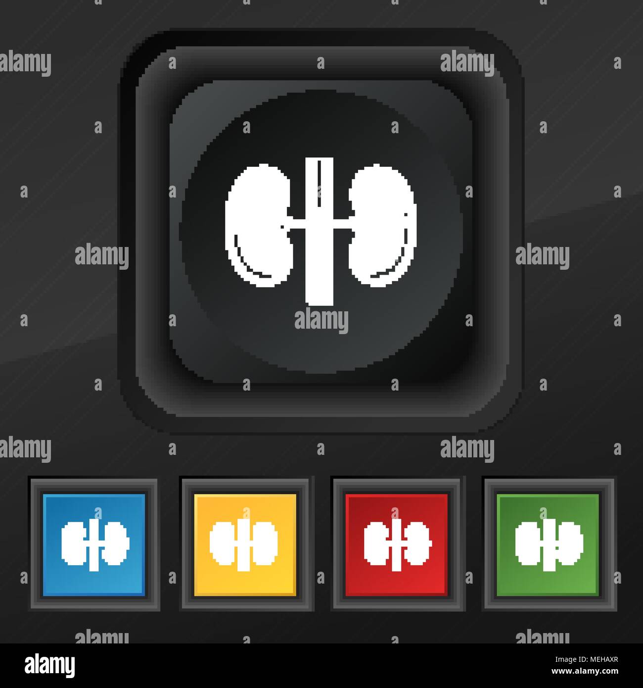 Kidneys icon symbol. Set of five colorful, stylish buttons on black ...