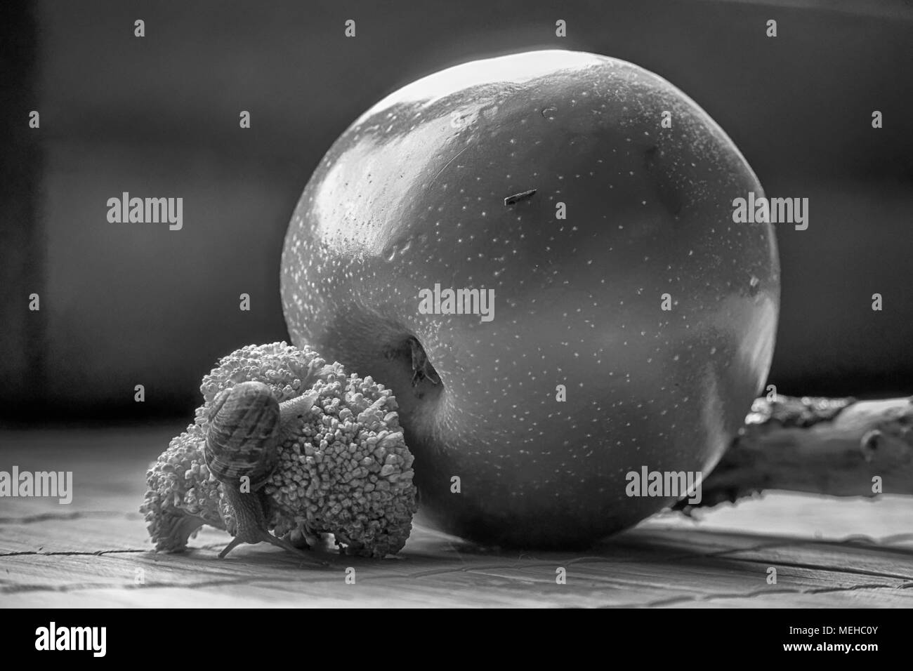 Snail sitting on apple and tree trunk and go to green broccoli, wooden ...