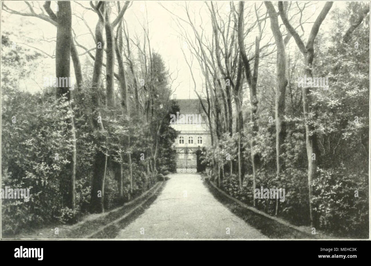 Luidi hi-res stock photography and images - Alamy