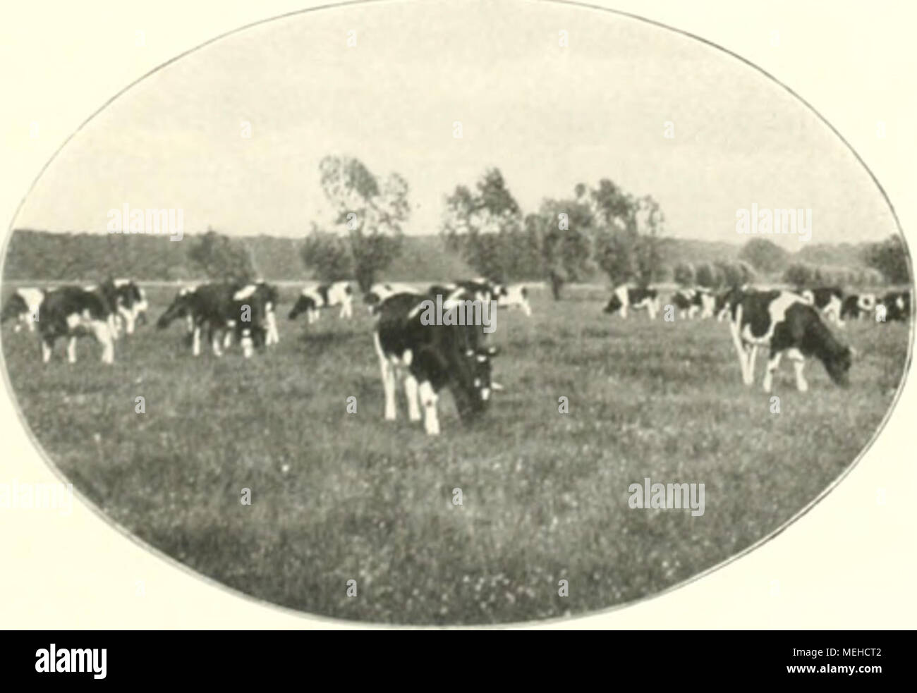 . Die deutsche Landwirtschaft unter Kaiser Wilhelm II; Mutterland und ...