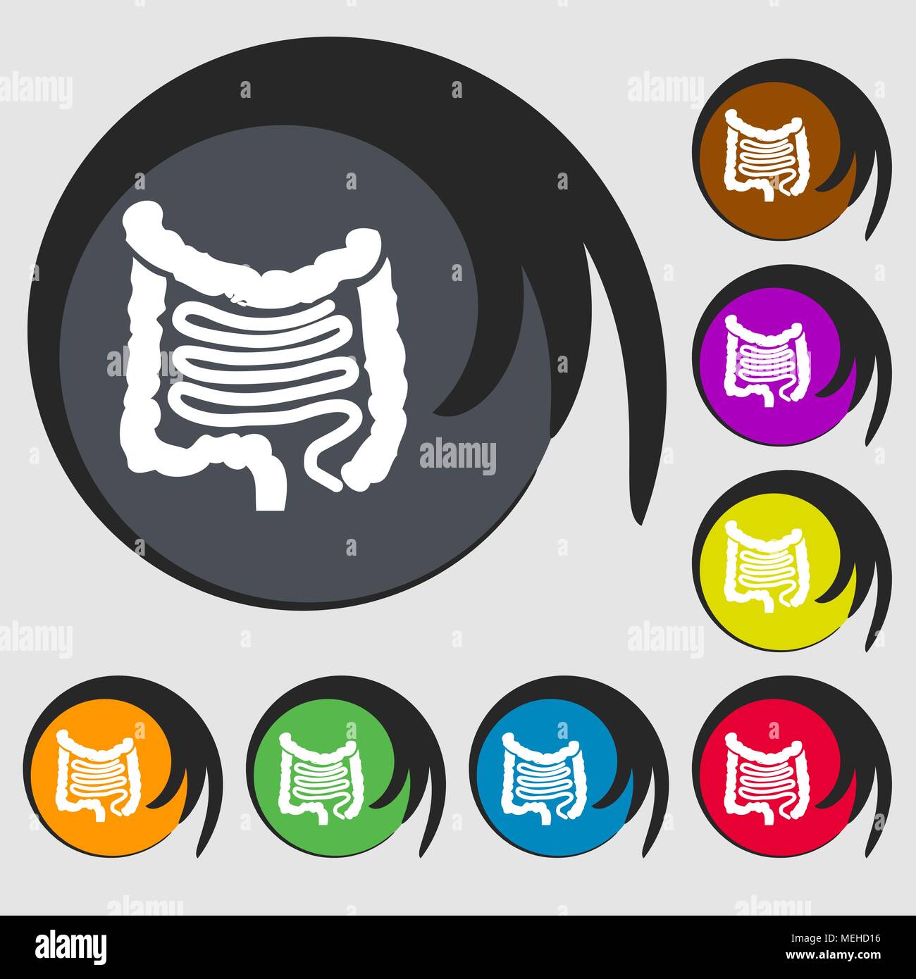 Intestines sign icon. Symbols on eight colored buttons. Vector ...