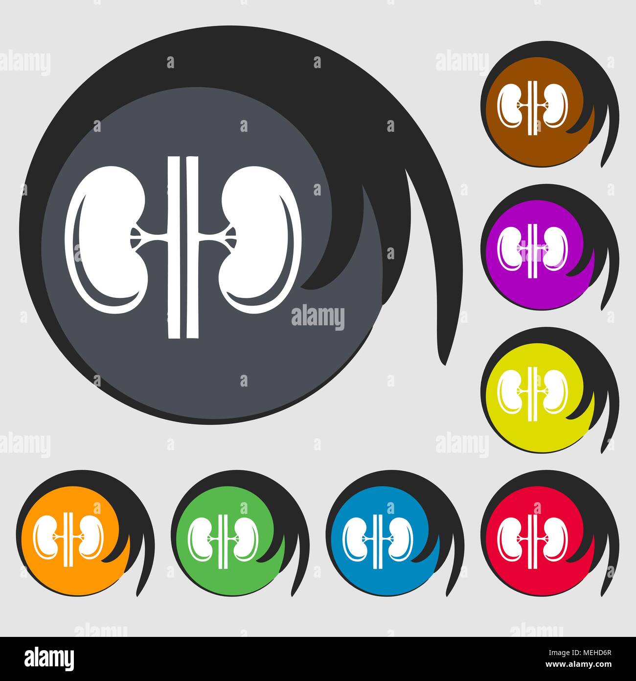 Kidneys sign icon. Symbols on eight colored buttons. Vector ...