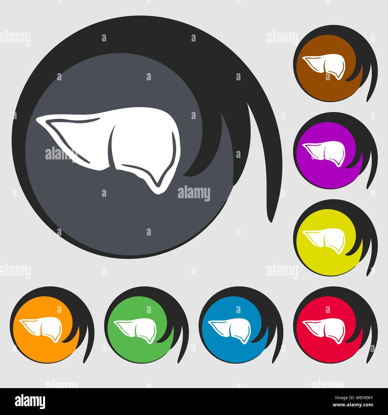Liver sign icon. Symbols on eight colored buttons. Vector illustration ...