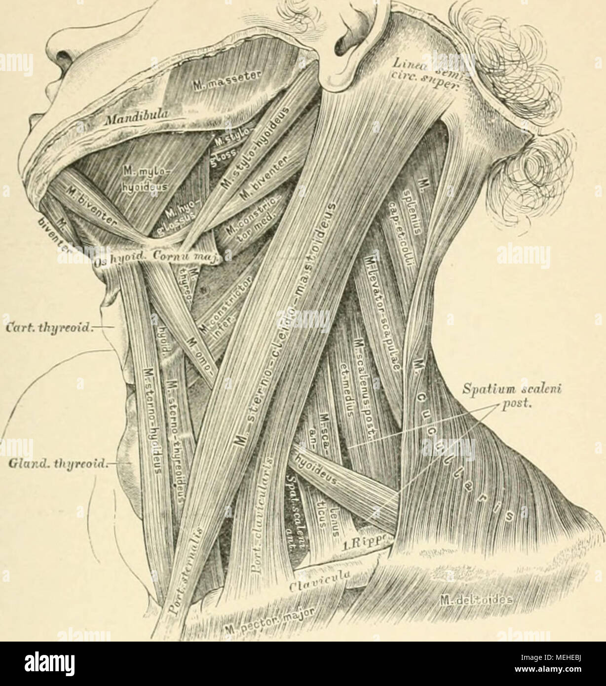 Urspr hi-res stock photography and images - Alamy