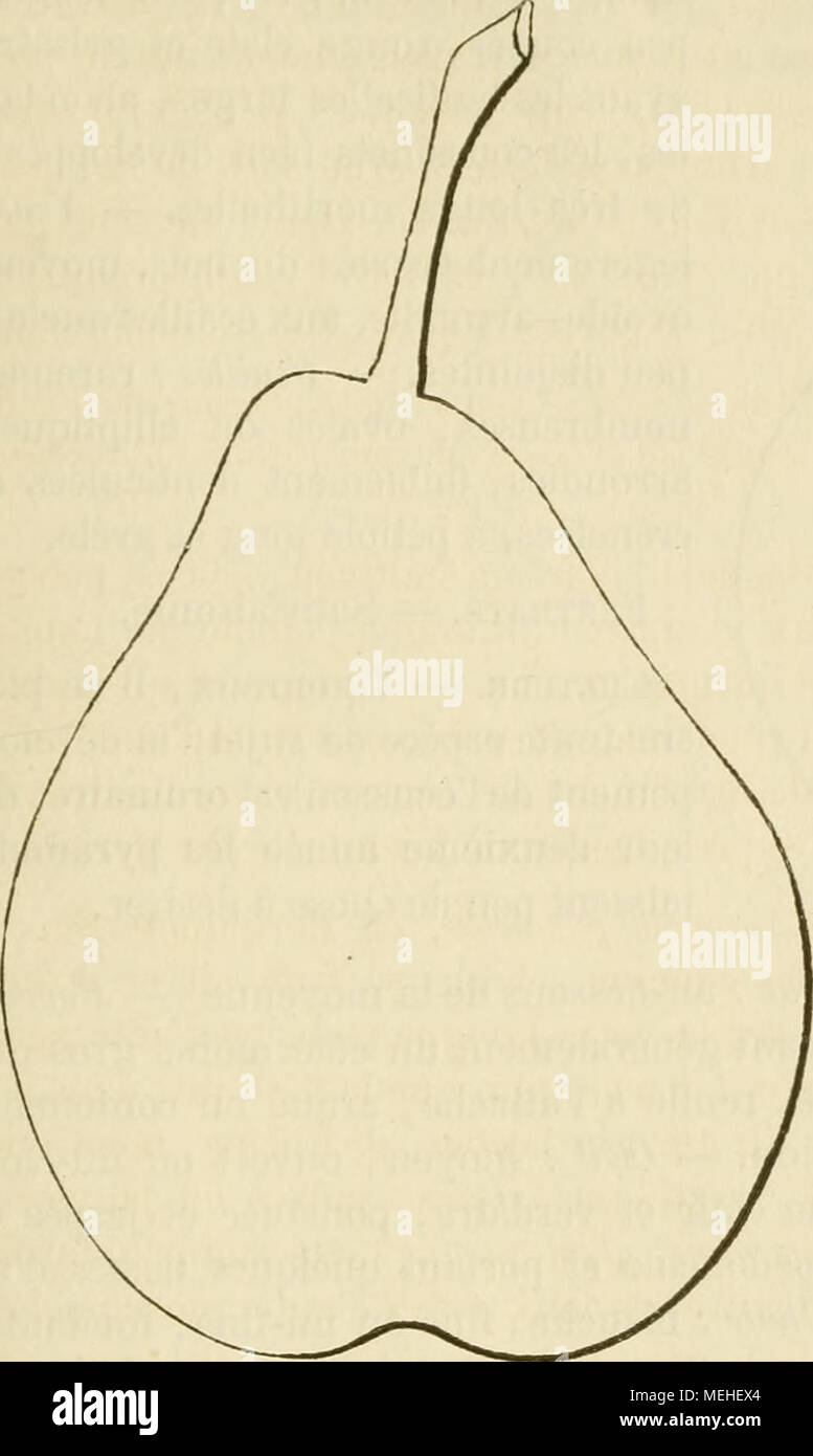 Poire suisse hi-res stock photography and images - Alamy