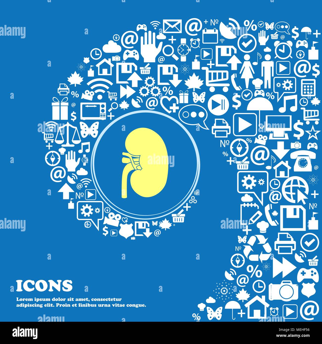 Kidney symbols. Nice set of beautiful icons twisted spiral into the ...