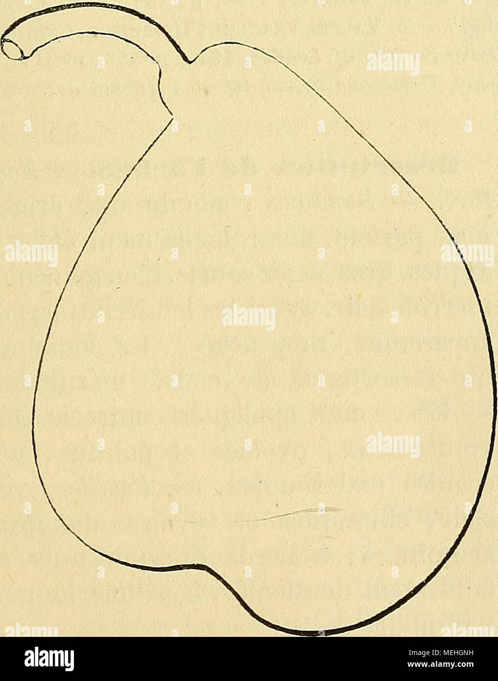 Fruit et fleur hi-res stock photography and images - Alamy