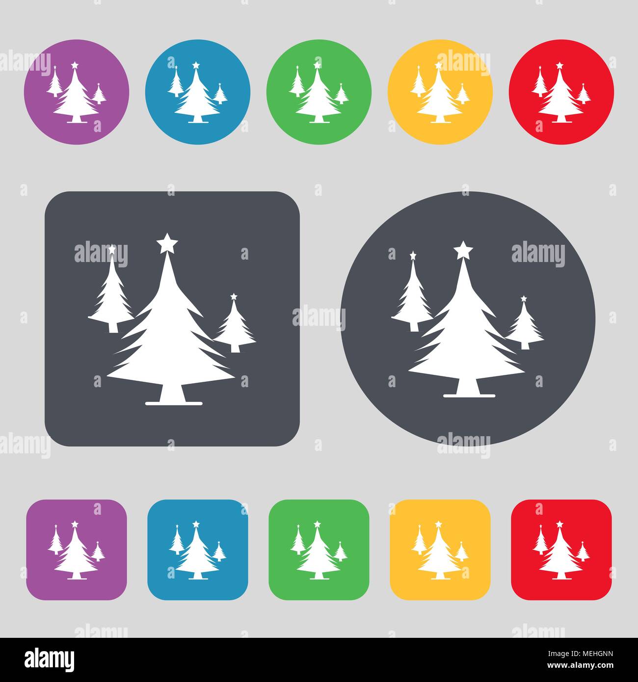 coniferous forest, tree, fir-tree icon sign. A set of 12 colored ...