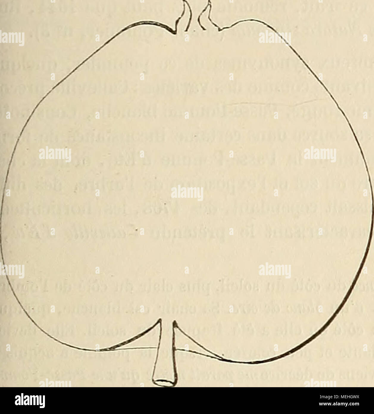 Fond conique hi-res stock photography and images - Alamy