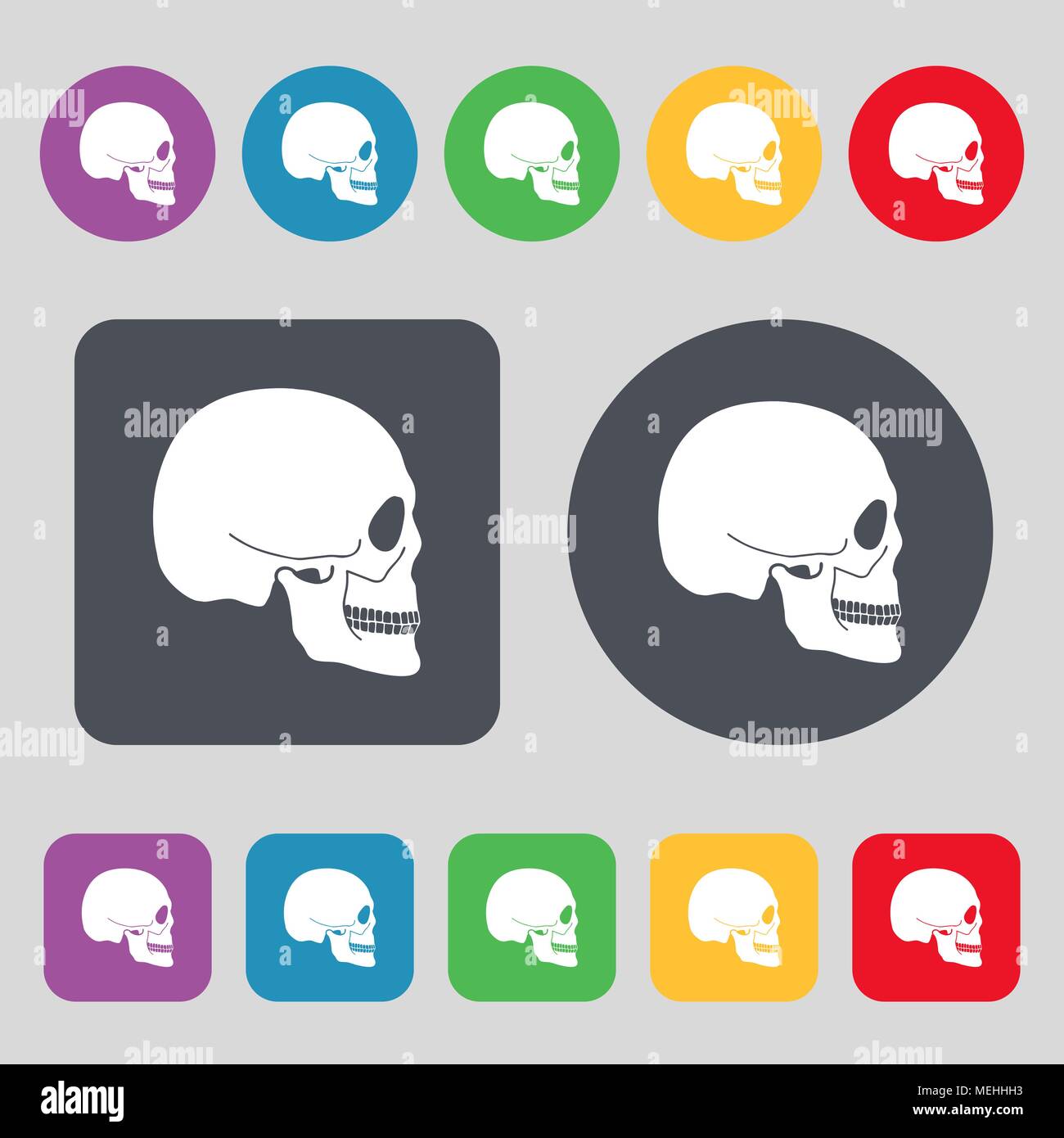Skull icon sign. A set of 12 colored buttons. Flat design. Vector ...