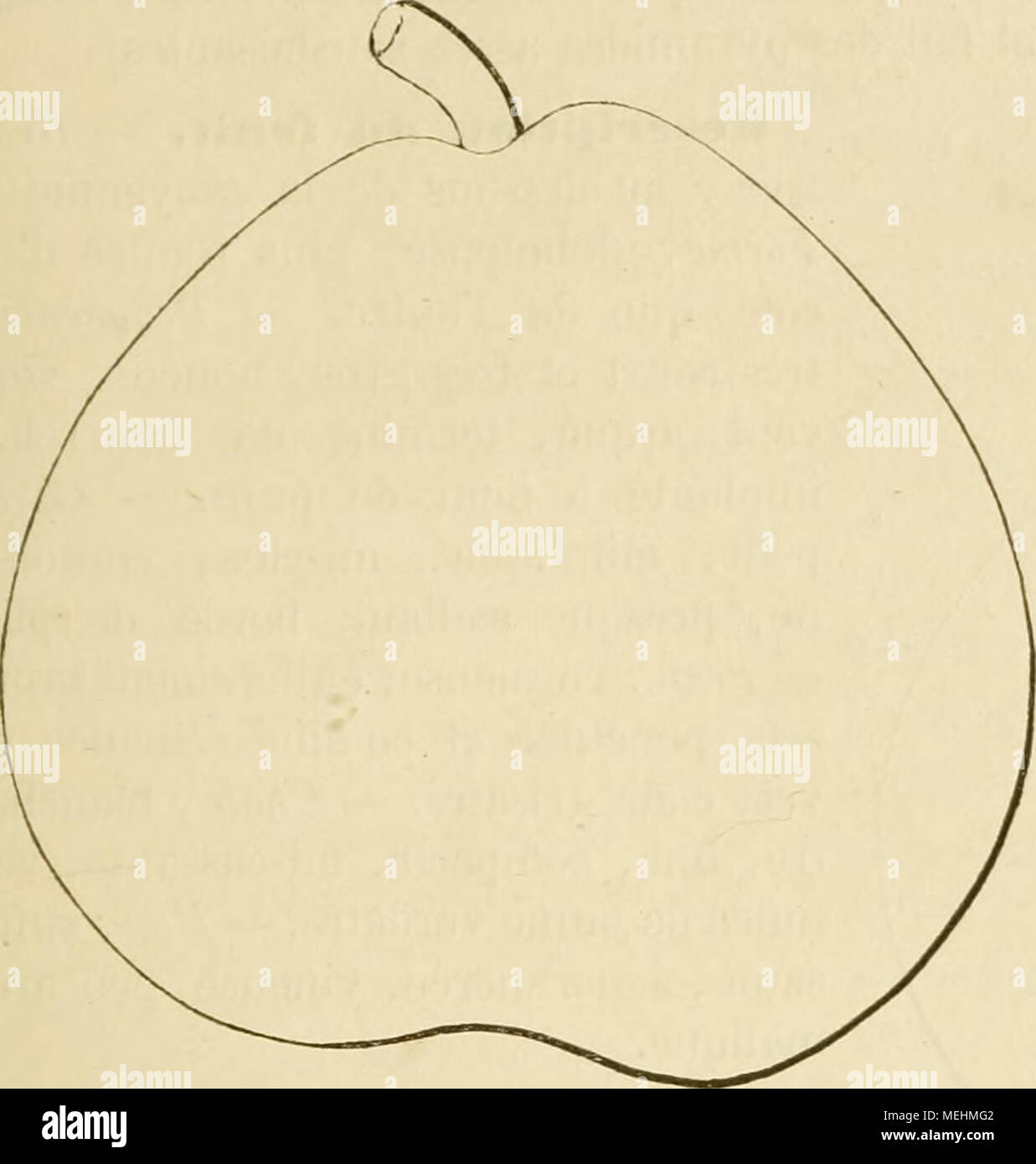 Carta de oliva hi-res stock photography and images - Alamy