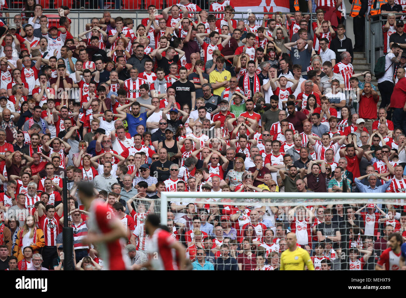 Southampton Fans High Resolution Stock Photography and Images - Alamy