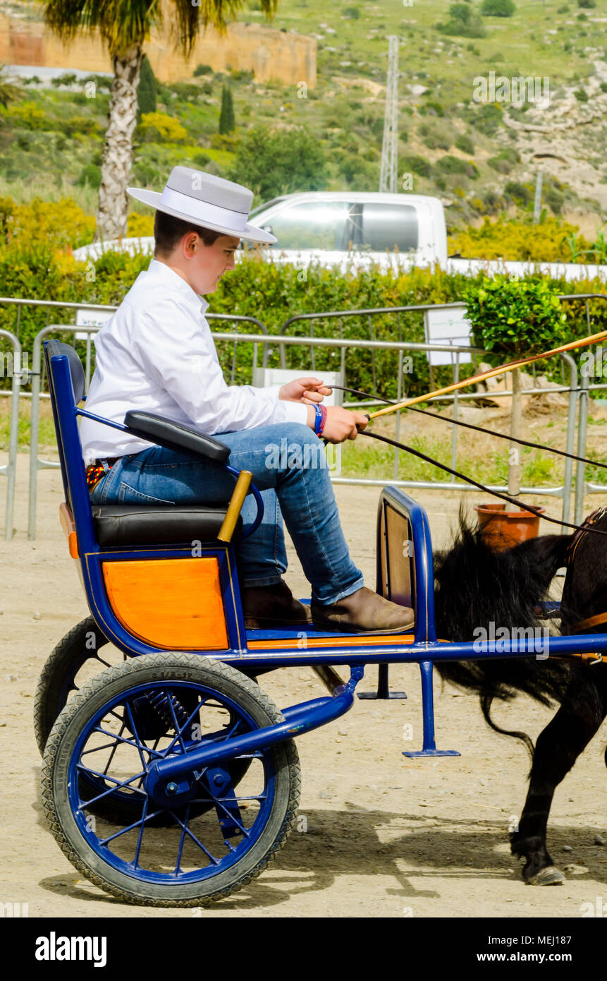 Horse drawn jaunting cart hi-res stock photography and images - Alamy