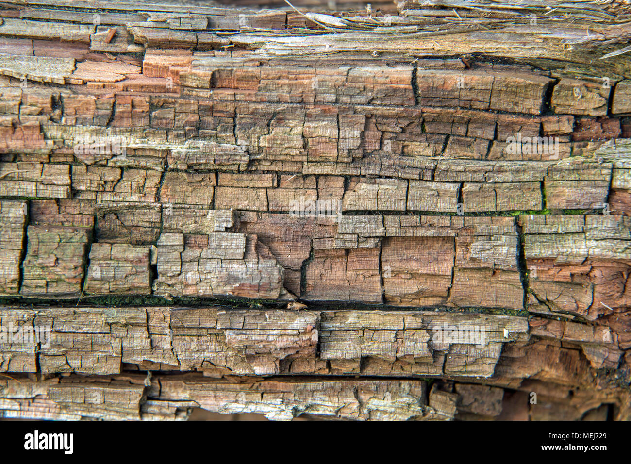 Natural wood texture background Stock Photo - Alamy