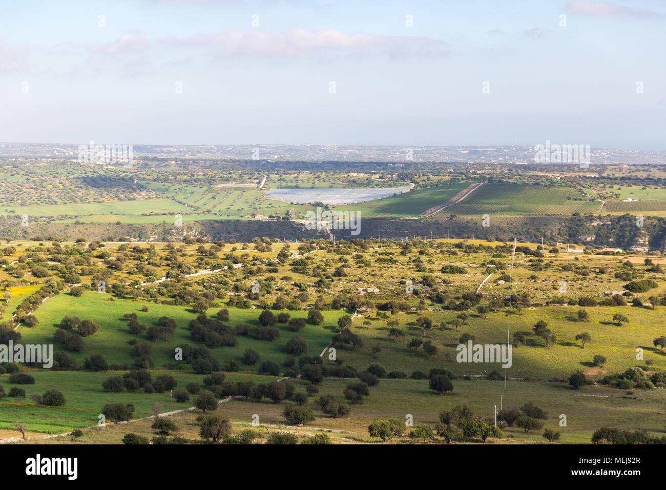 Elevated view of olive grove hi-res stock photography and images - Alamy
