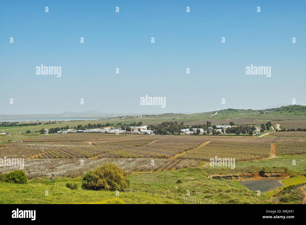 United Nations Disengagement Observer Force (UNDOF) camp near Quneitra ...