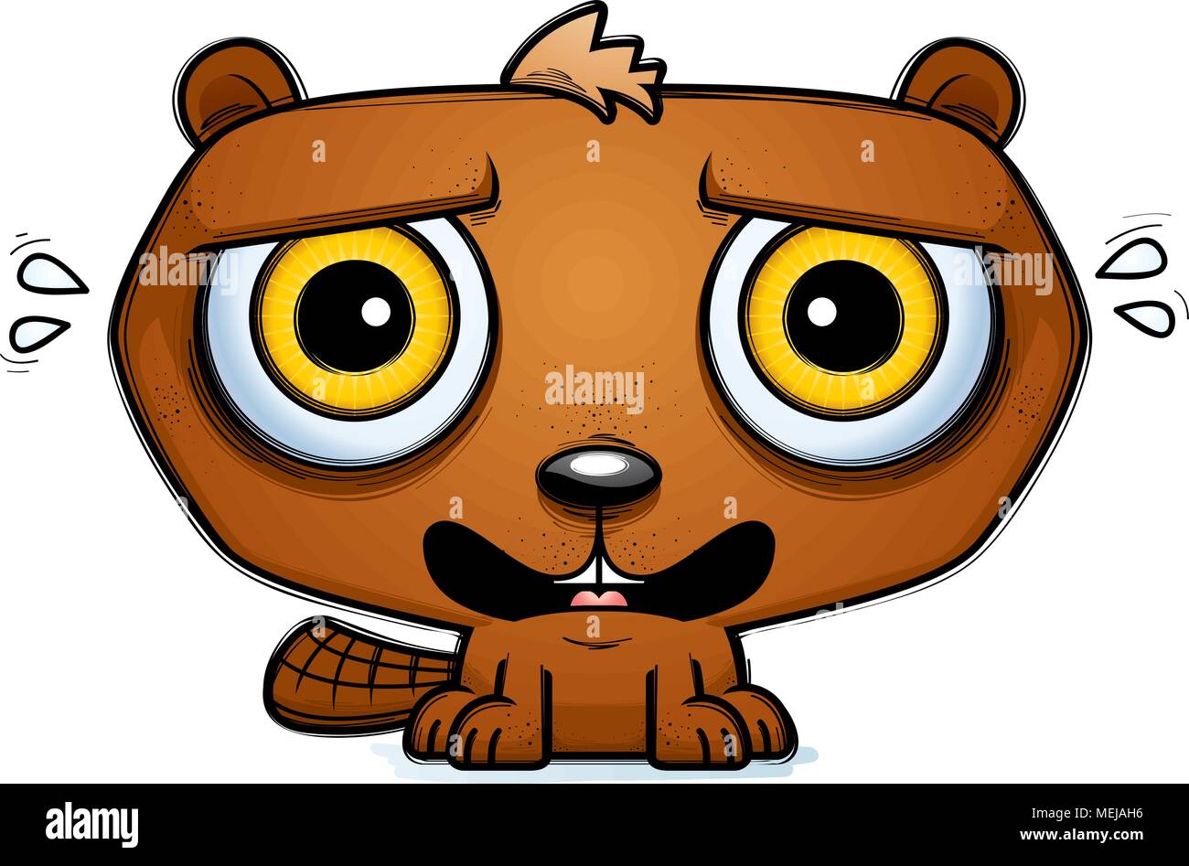A cartoon illustration of a beaver looking terrified Stock Vector Image ...