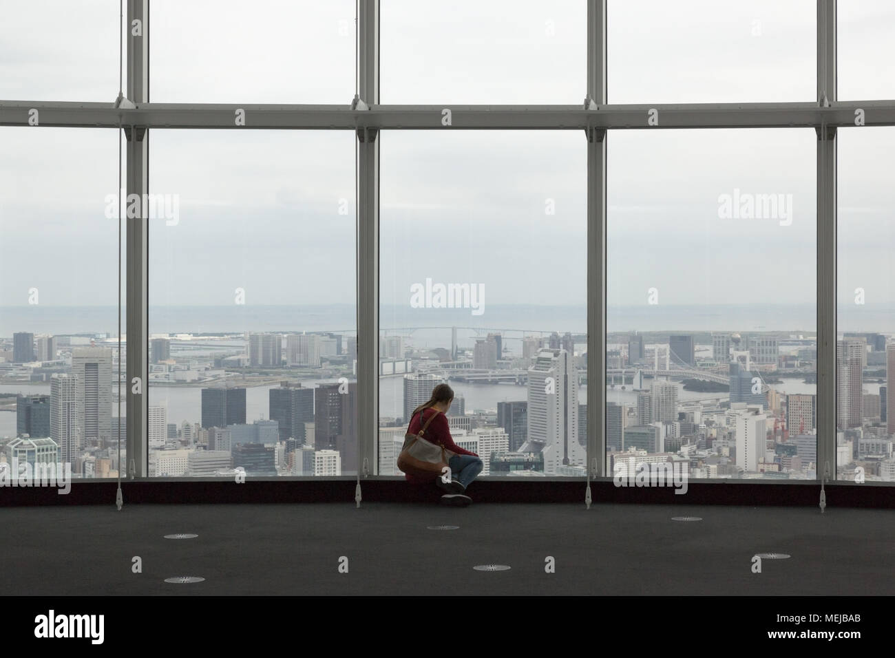 Amazing view skyline tokyo tower hi-res stock photography and images ...