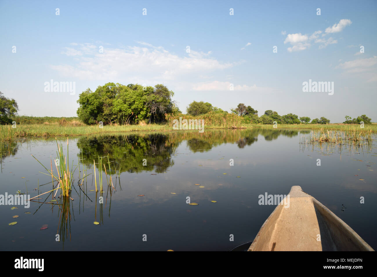 Lake nature reflection botswana hi-res stock photography and images - Alamy