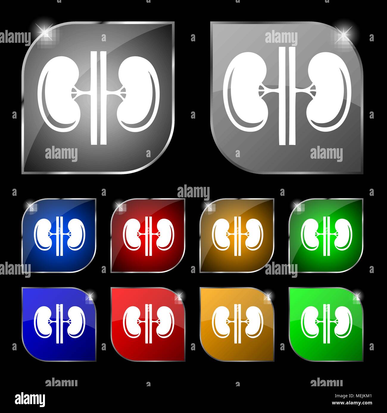 Kidneys icon sign. Set of ten colorful buttons with glare. Vector ...