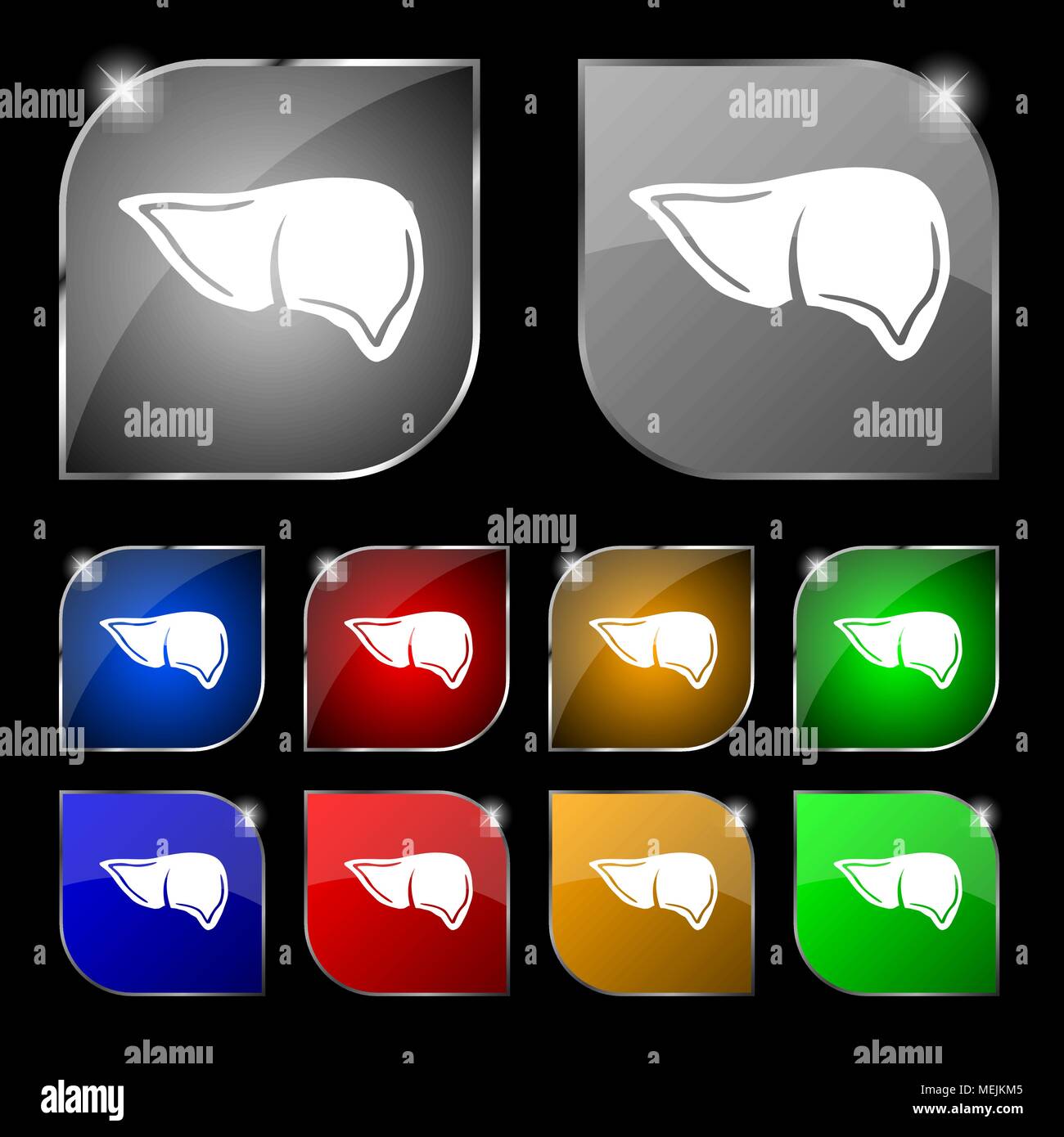 Liver icon sign. Set of ten colorful buttons with glare. Vector ...