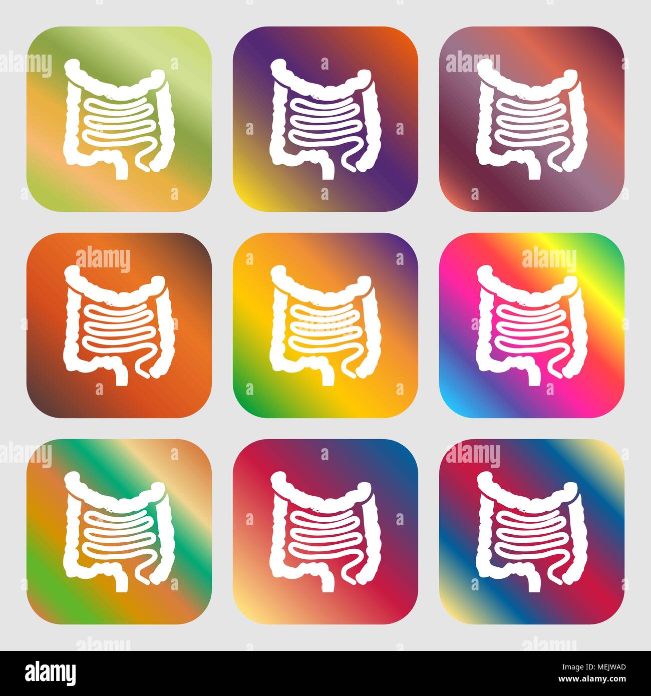 Intestines sign icon . Nine buttons with bright gradients for beautiful ...