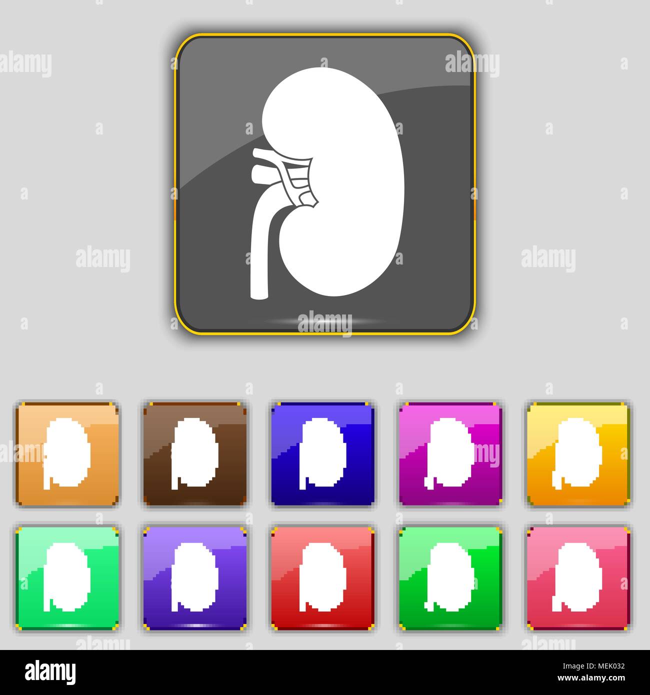 Kidney icon sign. Set with eleven colored buttons for your site. Vector ...