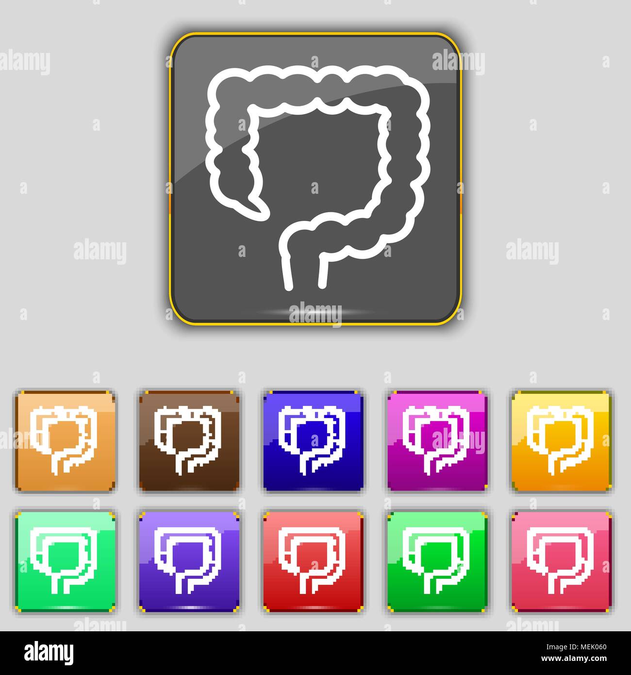 large intestine icon sign. Set with eleven colored buttons for your ...