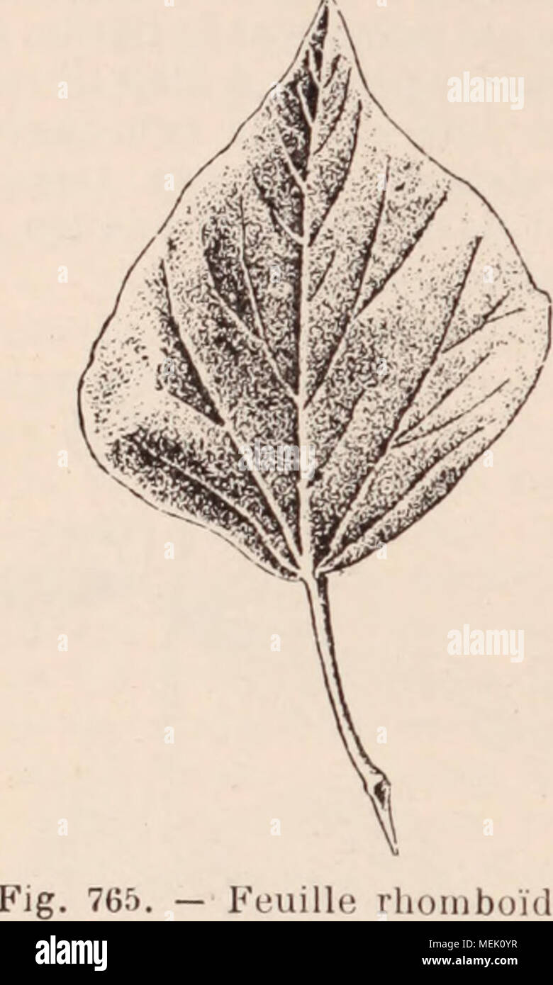 . Dictionnaire d'horticulture illustrÃ© / par D. Bois prÃ©face de ...