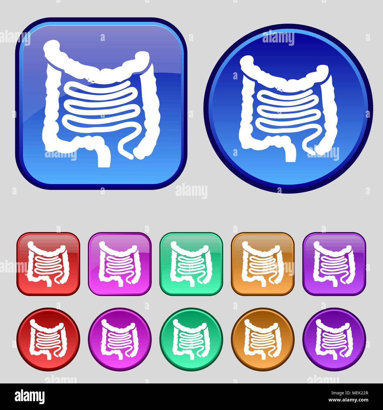 Intestines icon sign. A set of twelve vintage buttons for your design ...