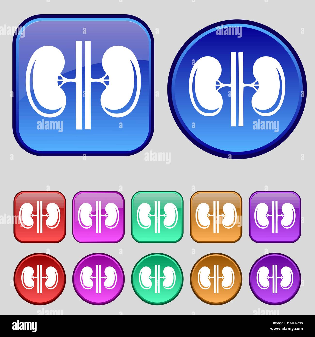 Kidneys icon sign. A set of twelve vintage buttons for your design ...