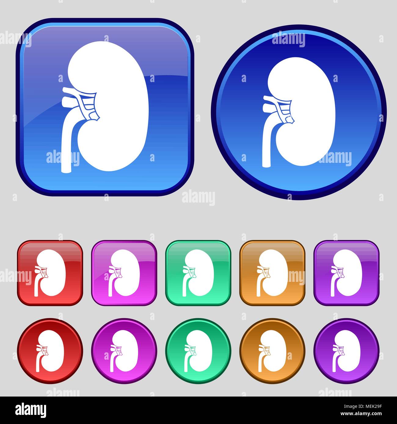 Kidney icon sign. A set of twelve vintage buttons for your design ...