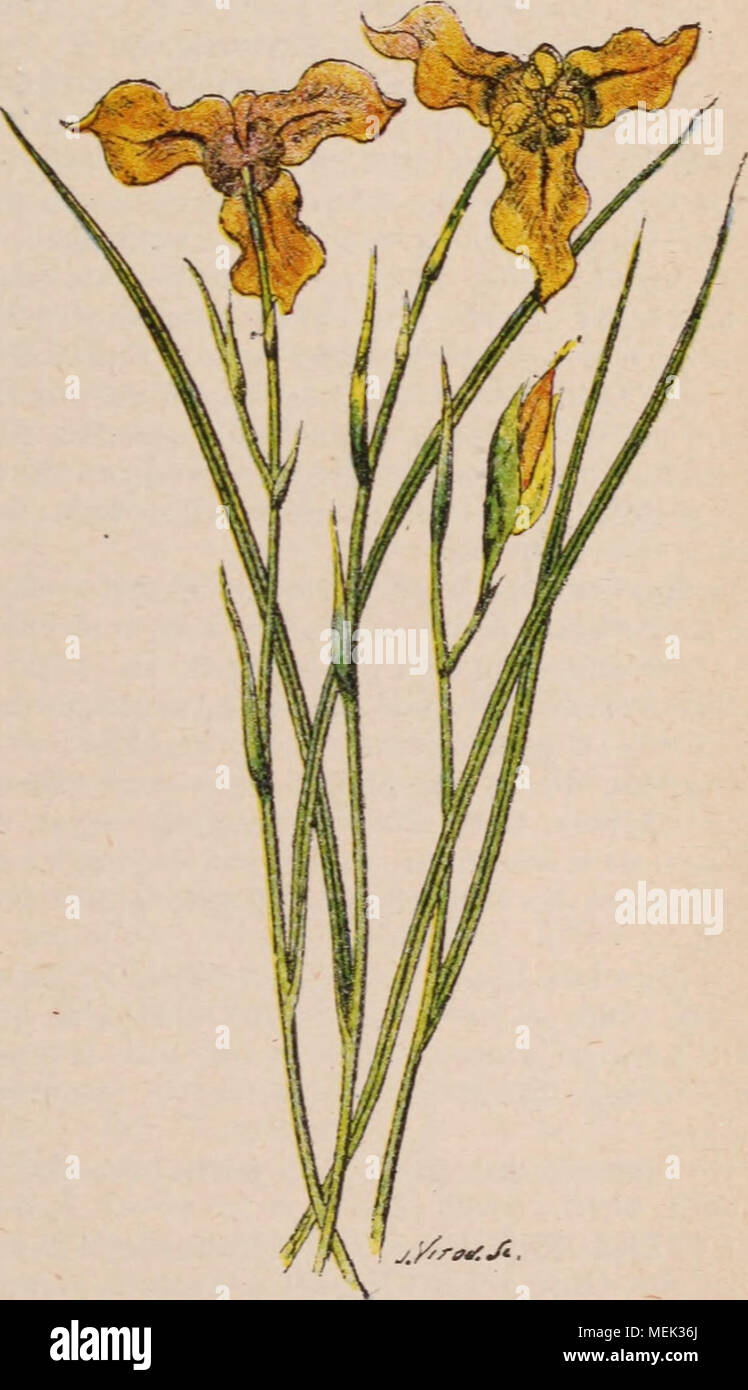 Charnues hi-res stock photography and images - Alamy