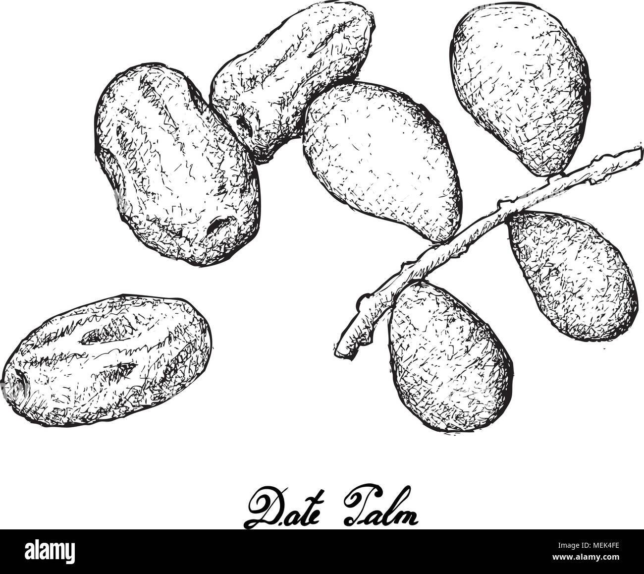 Natural cal Black and White Stock Photos & Images - Alamy