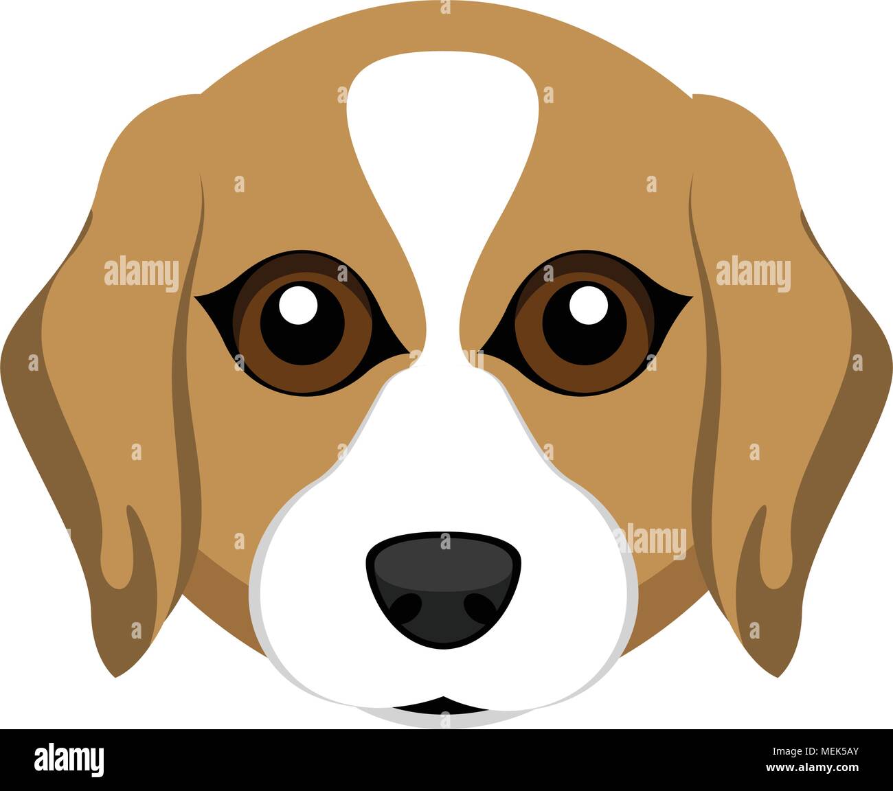 Beagle looking at camera Stock Vector Images - Alamy
