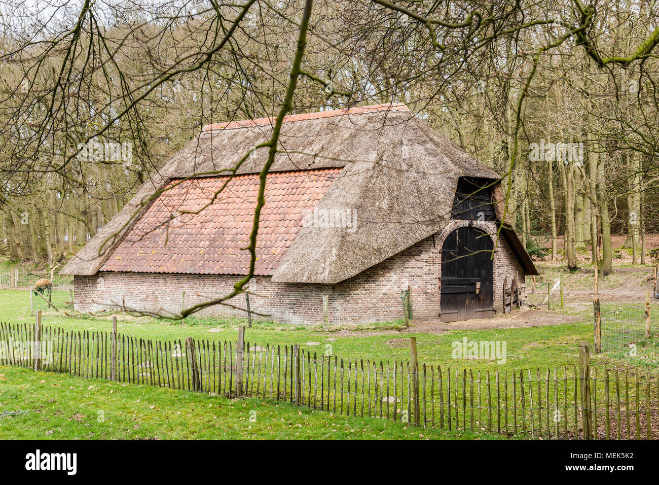 Old barn herd sheep hi-res stock photography and images - Alamy